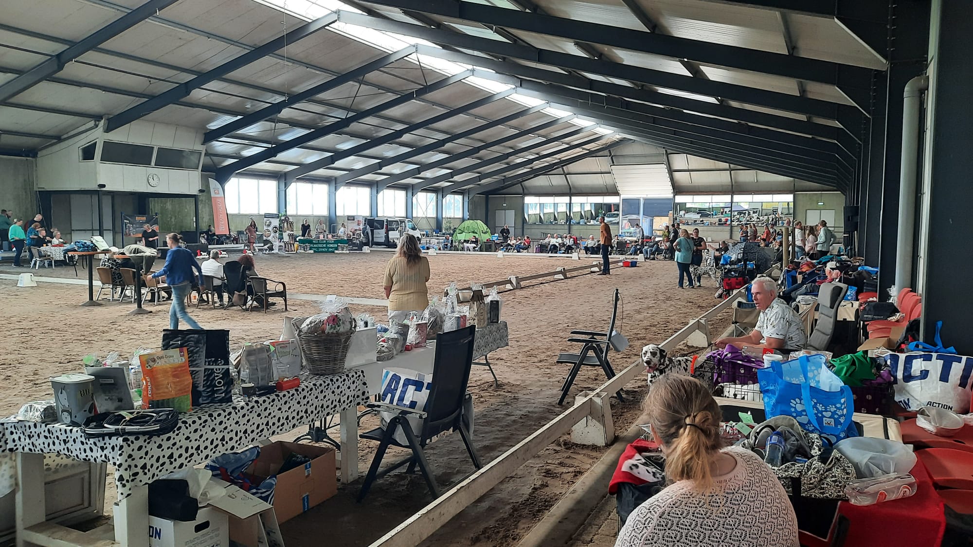 Resultaten NCDH Clubshow 2024 - Nederlandse Club voor Dalmatische Honden